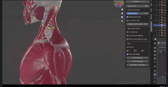 Udemy 3D Anatomy: Sculpting in Blender Course Download - AeBlender Udemy 3D Anatomy: Sculpting in Blender Course Download - AeBlender