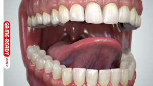 Blender Teeth and Tongue Set Low poly 3D Model Crack Download - AeBlender